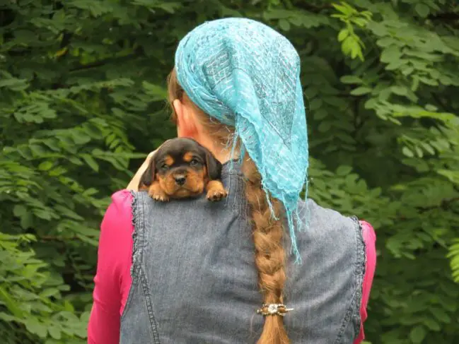 Head Covering Styles: 25 Beautiful Ideas For Head Coverings - Beautiful ...