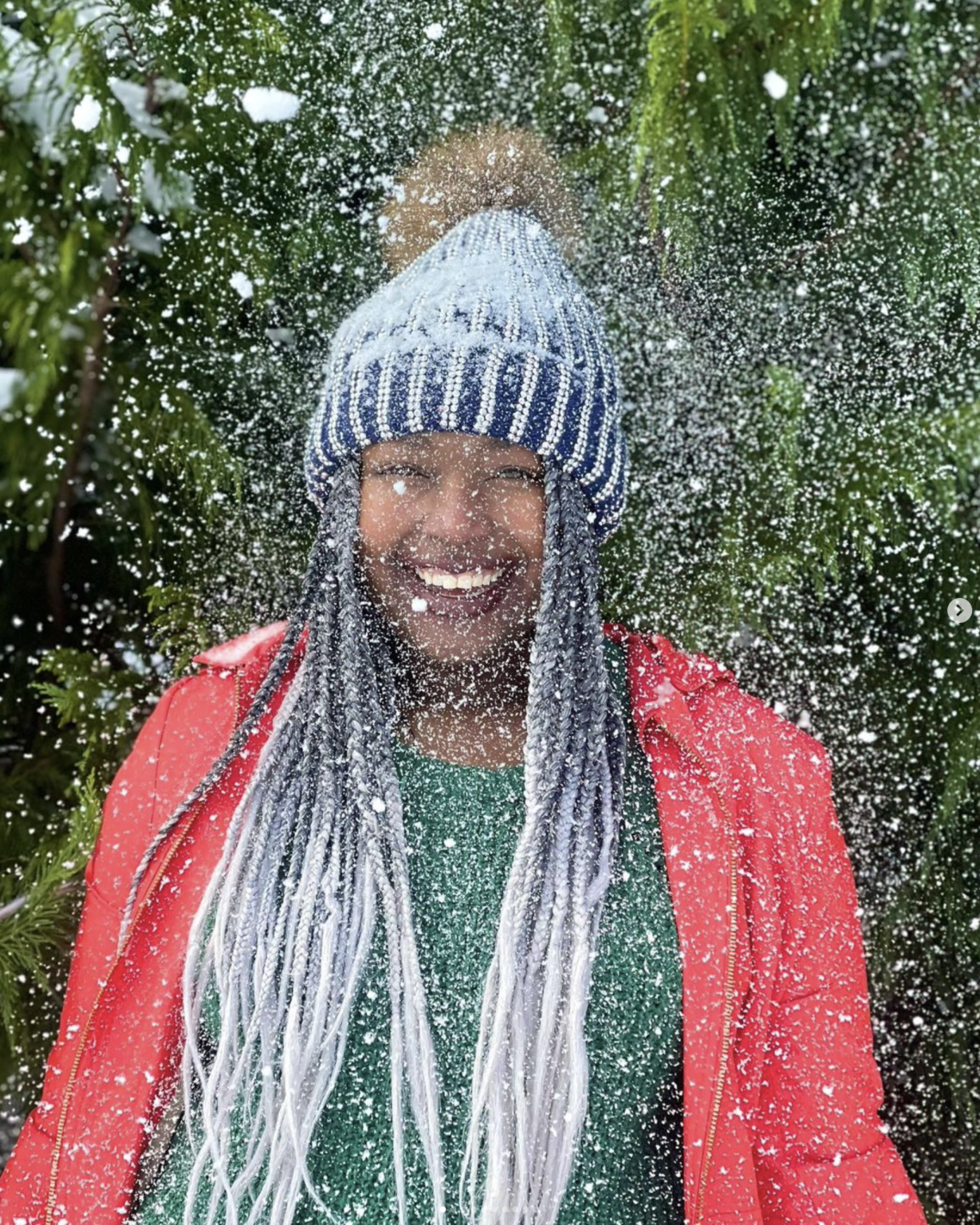 29 Absolutely Beautiful Braid Styles for Gray Hair - Beautiful Life