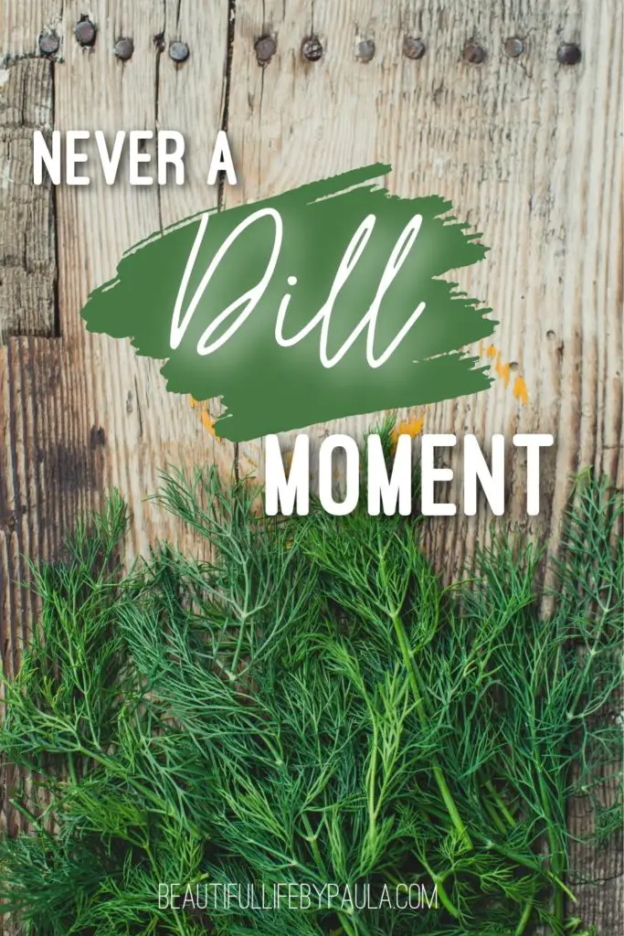 41 Funny Gardening Puns (Laugh Now or Forever Hold your Peas ...