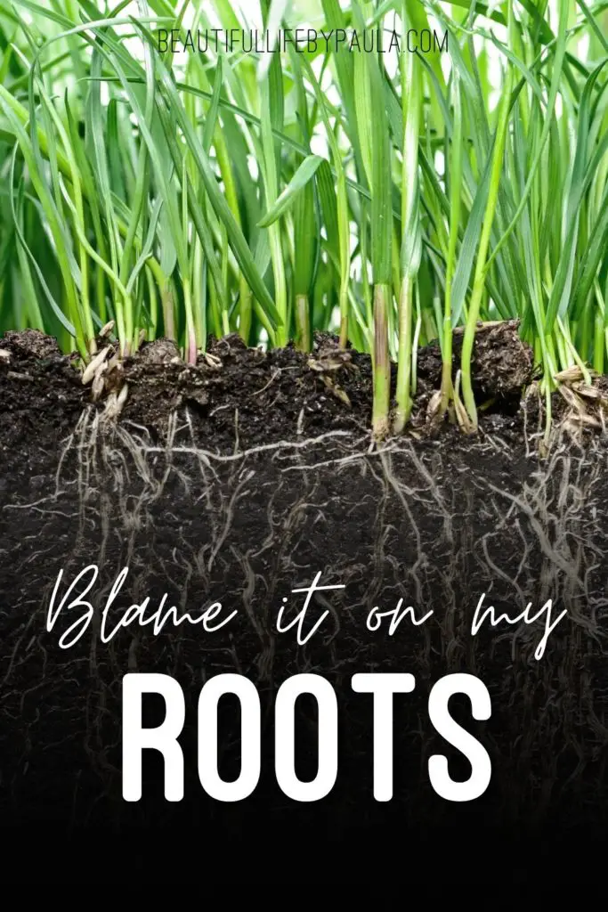 41 Funny Gardening Puns (Laugh Now or Forever Hold your Peas ...